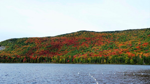 Visiter les Laurentides - Québec