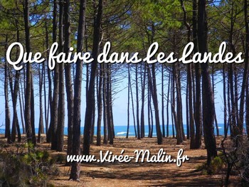 Les Incontournables à faire dans les Landes ? Le guide Virée-Malin.fr